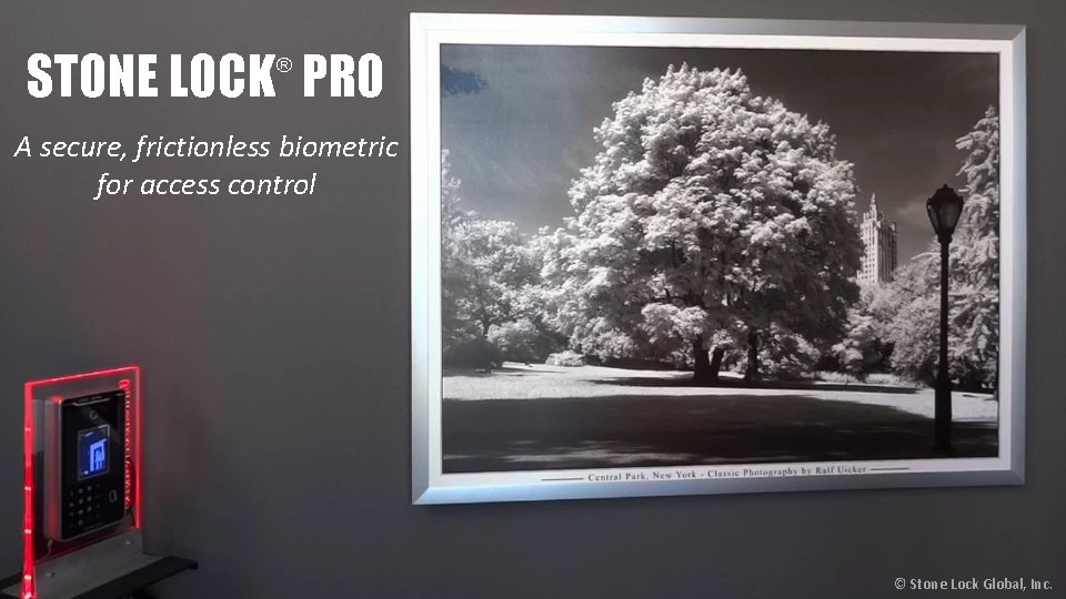 Stone Lock Pro Facial Recognition for Access Control