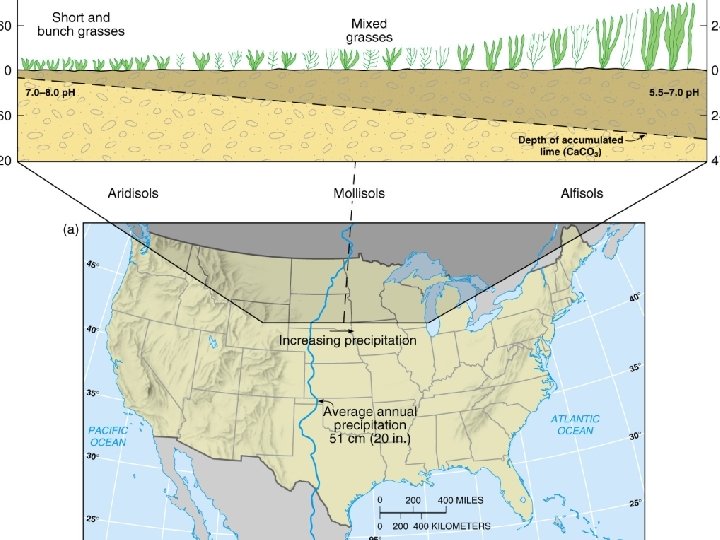 Chapter 18 The Geography of Soils Geosystems 5