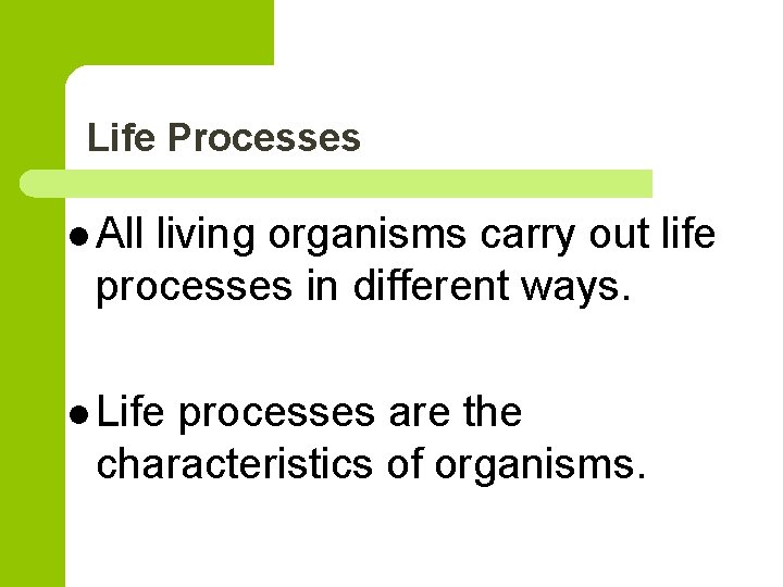 Identifying Differences Between Plants and Animals Reminder student