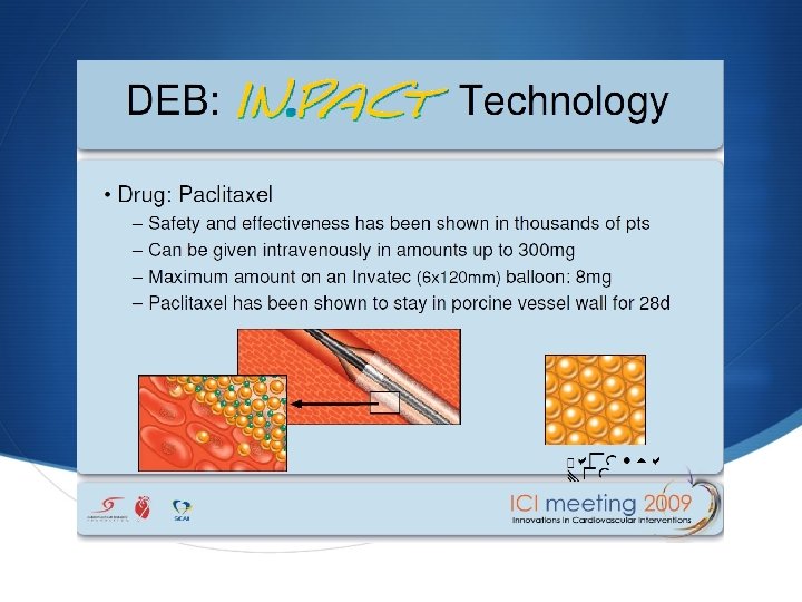Endothelial injury post implantation Implanted stent Plaque Stent
