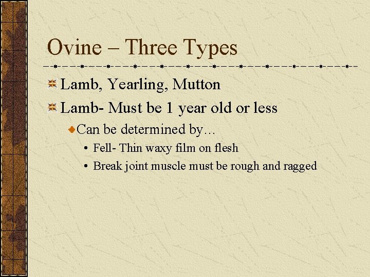 Ovine Ovine Three Types Lamb Yearling Mutton Lamb