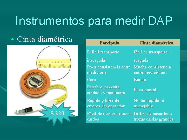 MENSURA FORESTAL DASOMETRA Introduccin Definicin Graves 1906 La