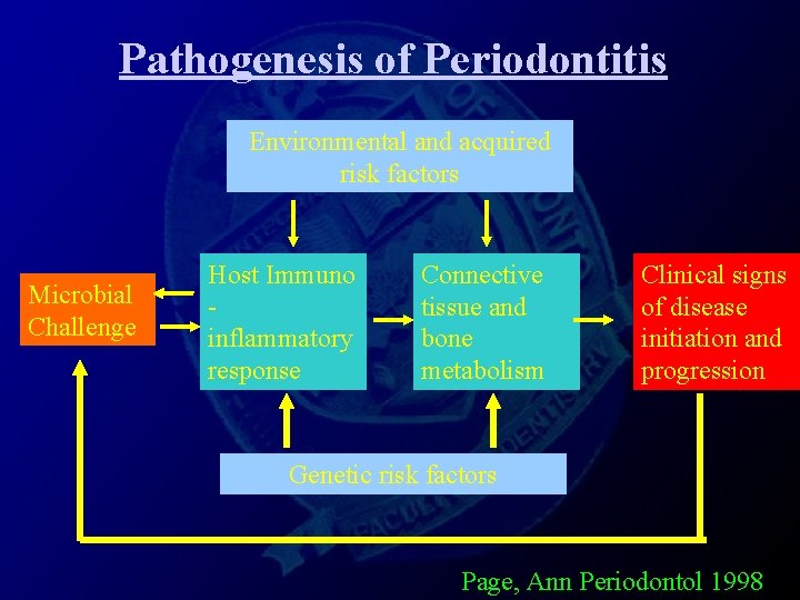 Pathogenesis of Periodontitis Environmental and acquired risk factors