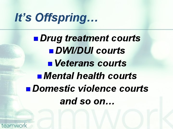 Team Building for Davidson County Drug Court AS