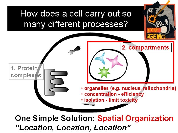 Univ of Calif San Francisco Lauren Jann Eric