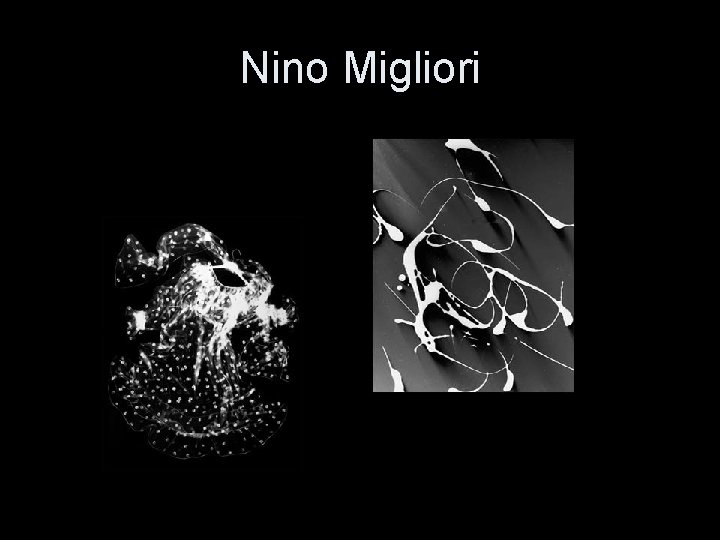 Photograms What are they and how do you