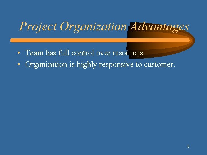 Chapter 13 Types of Project Organizations Learning Objectives
