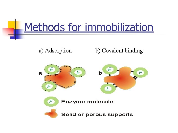 Immobilization of enzymes Dr Bhavesh Patel Principal V