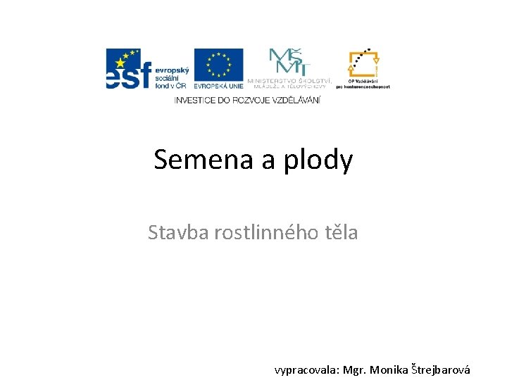 Semena a plody Stavba rostlinnho tla vypracovala Mgr