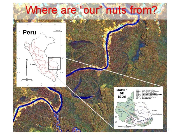 Peruvian Brazil Nuts An Exploration of Value Chains