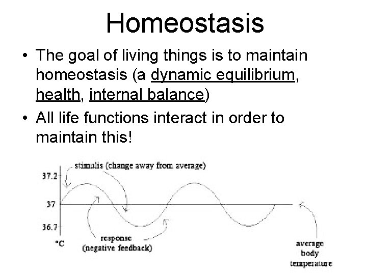 Homeostasis The goal of living things is to