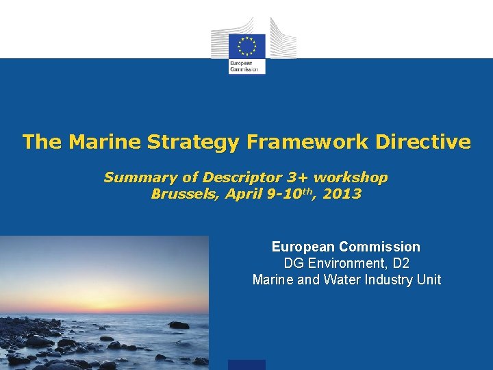 The Marine Strategy Framework Directive Summary of Descriptor