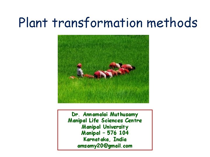Plant transformation methods Dr Annamalai Muthusamy Manipal Life