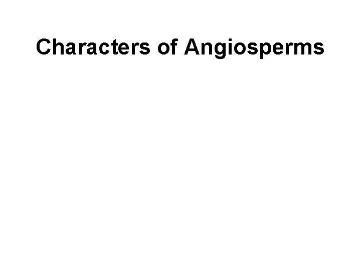 Origins of Angiosperms Spring 2013 Outline Origin of