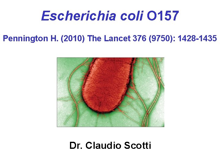 Escherichia coli O 157 Pennington H 2010 The