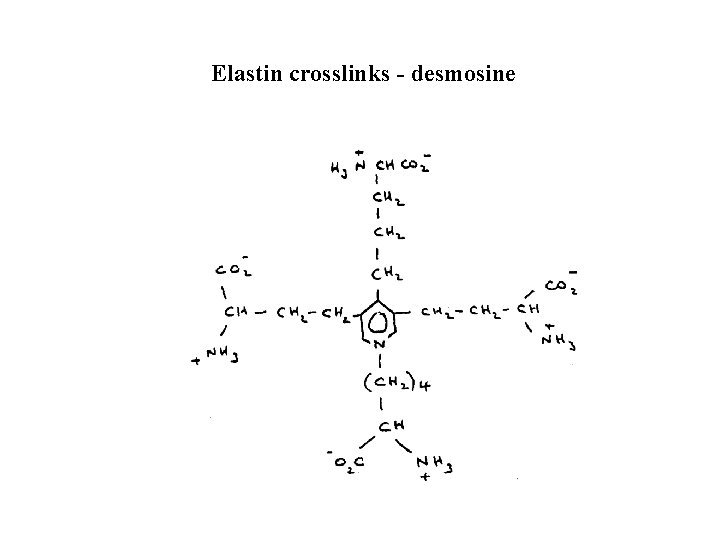 CLINICAL ASPECTS OF BIOCHEMISTRY PROTEINS AND DISEASE MIKE