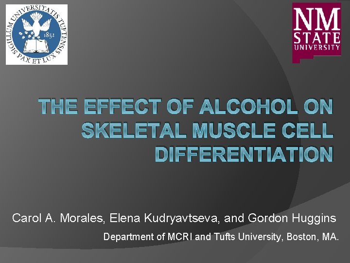 THE EFFECT OF ALCOHOL ON SKELETAL MUSCLE CELL