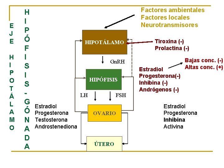 PERFIL HORMONAL FEMENINO MSc Leidy Quevedo U C