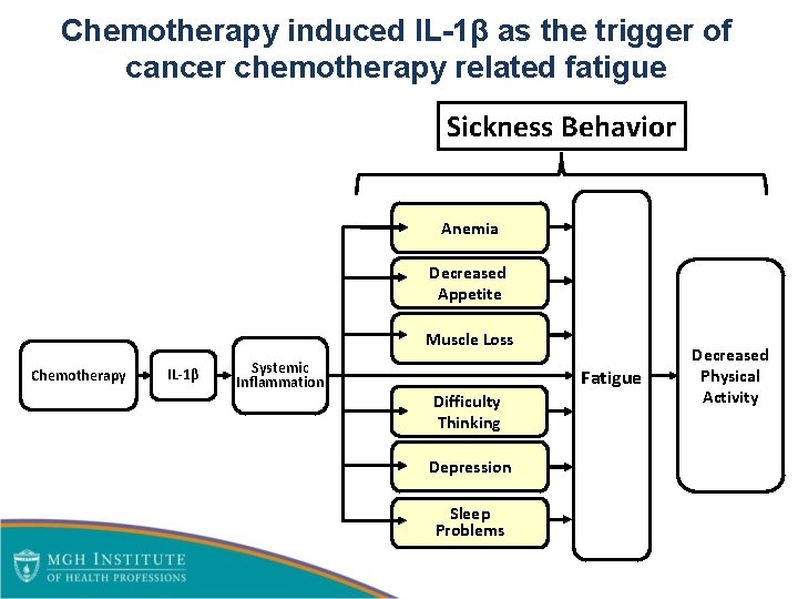 Mechanisms of Cancer Treatment Related Fatigue Lisa J