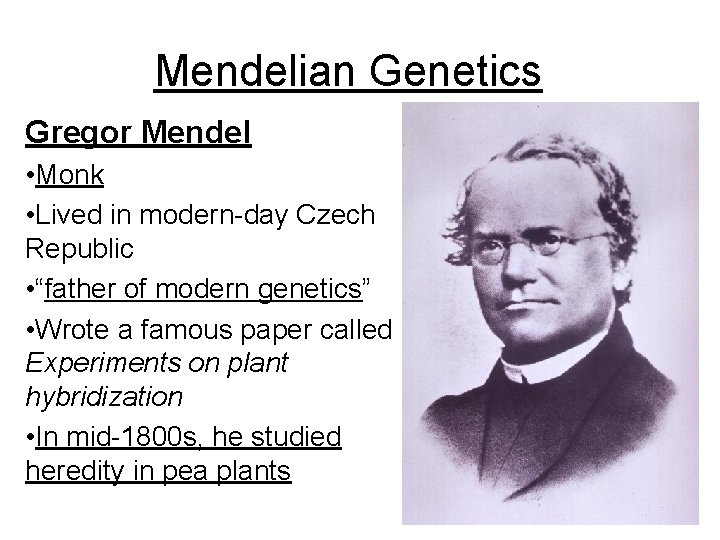 Mendelian Genetics Gregor Mendel Monk Lived in modernday