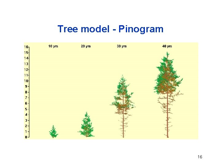 Development of Vegetation Growth Models for Remote Sensing