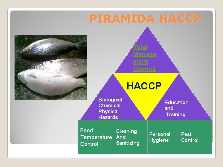 The Hazard Analysis and Critical Control Point System