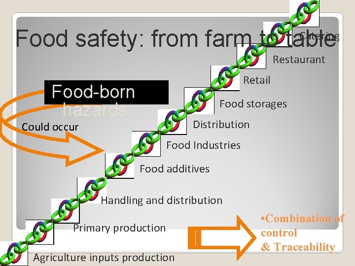 The Hazard Analysis and Critical Control Point System