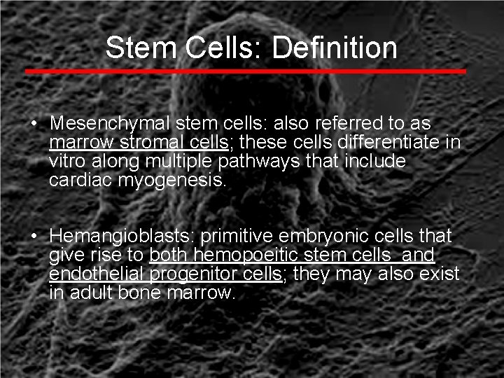 The Pluripotency Lessons from Embryonic Stem Cell Properties