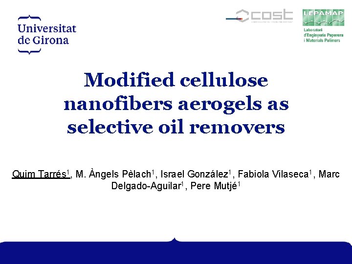 Modified cellulose nanofibers aerogels as selective oil removers