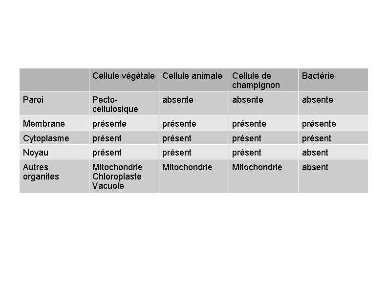 Chapitre 3 La cellule une unit structurale et