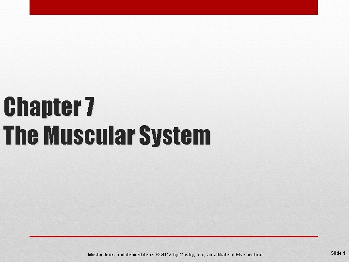 Chapter 7 The Muscular System Mosby items and