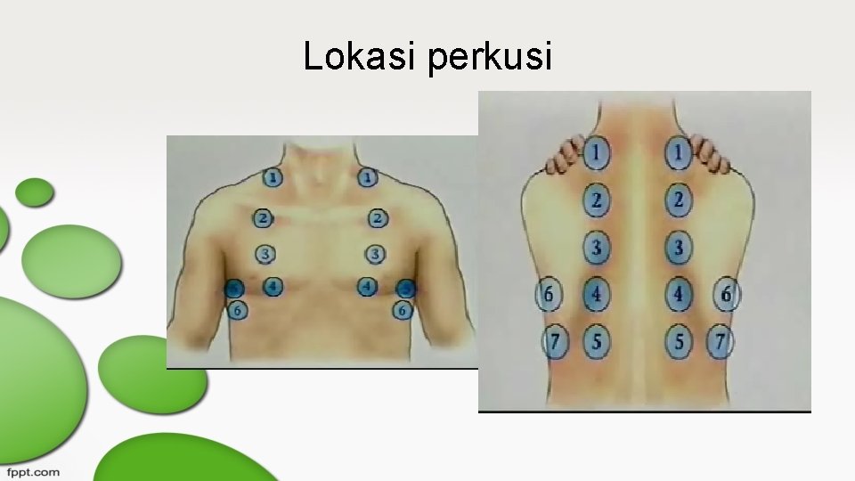 PEMERIKSAAN FISIK SISTEM RESPIRASI IRMA NUR AMALIA S