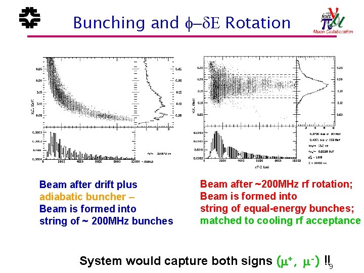 BunchedBeam Phase Rotation and FFAG Factory Injection David