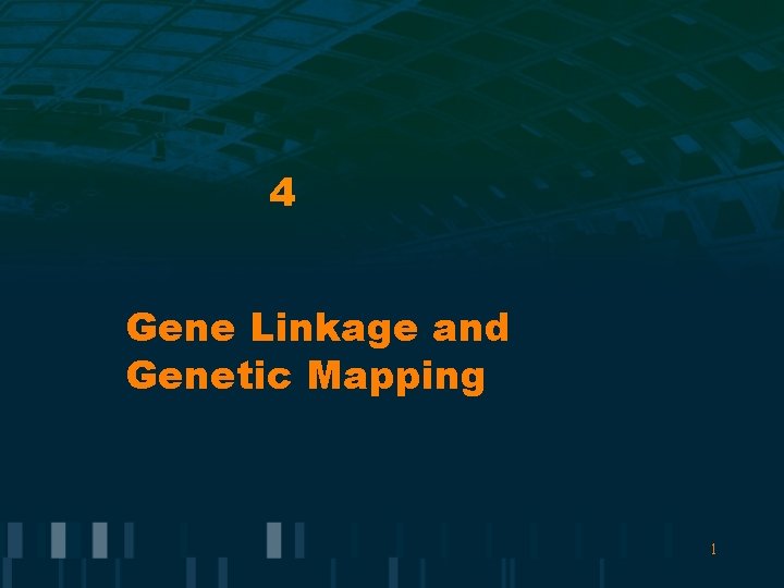 4 Gene Linkage and Genetic Mapping 1 Mendels