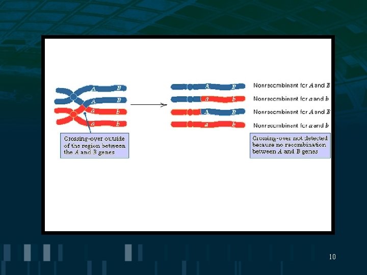 4 Gene Linkage and Genetic Mapping 1 Mendels