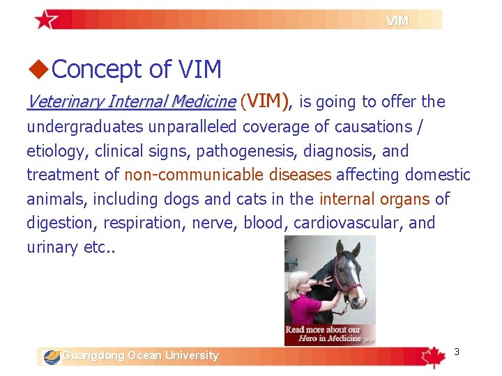 VIM Veterinary Internal Medicine VIM A special core
