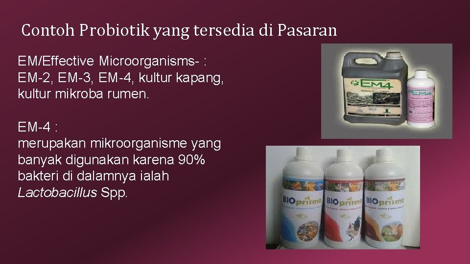 PEMBUATAN PROBIOTIK PUPUK ORGANIK PAKAN ORGANIK Probiotik mikrobiota