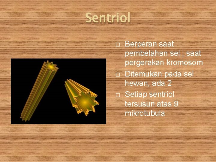 CELL Sel adalah unit struktural dan fungsional penyusun