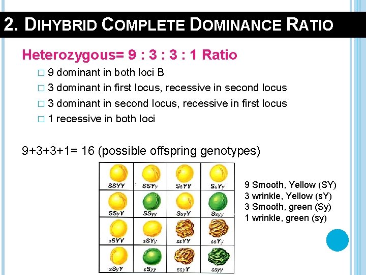 GENETIC DATA ANALYSIS SUM RULE The combined probability