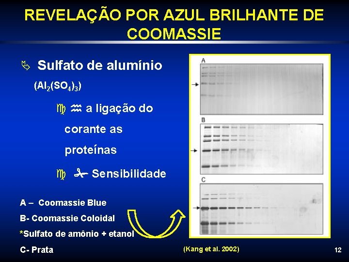Universidade Federal do Cear Rede Nordeste de Biotecnologia