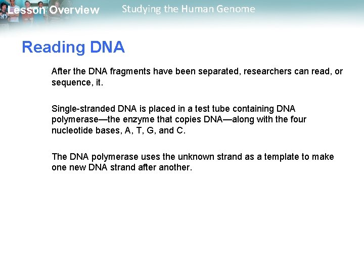 Lesson Overview Studying the Human Genome Lesson Overview