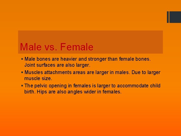 Anatomy Physiology The Skeletal System Skeletal System Functions