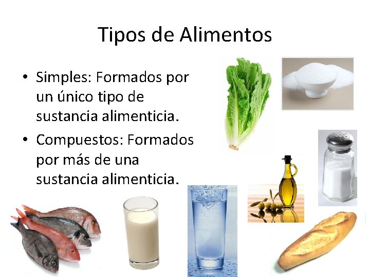 Alimentacin Nutricin y Metabolismo Qu nutrientes necesitamos incorporar