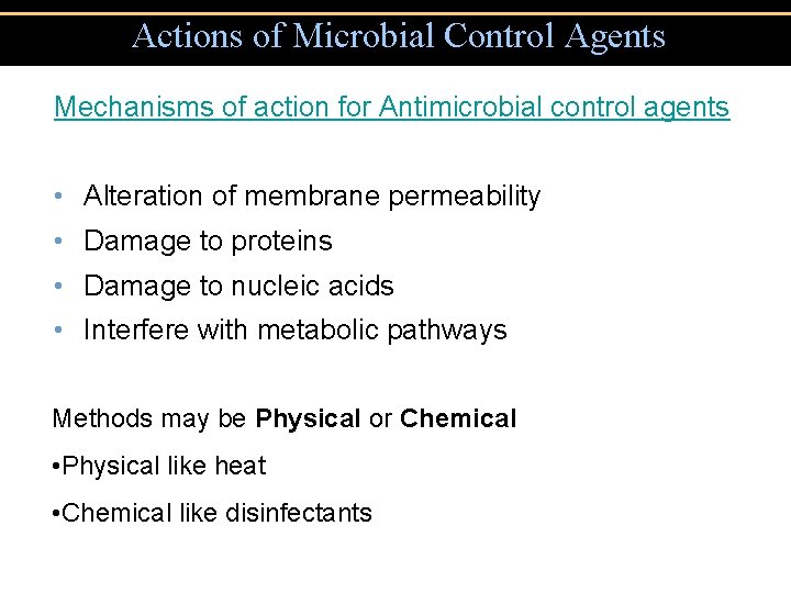Microbiology B E Pruitt Jane J Stein Chapter