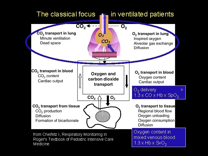 Ventilation strategies targets and goals in acute respiratory