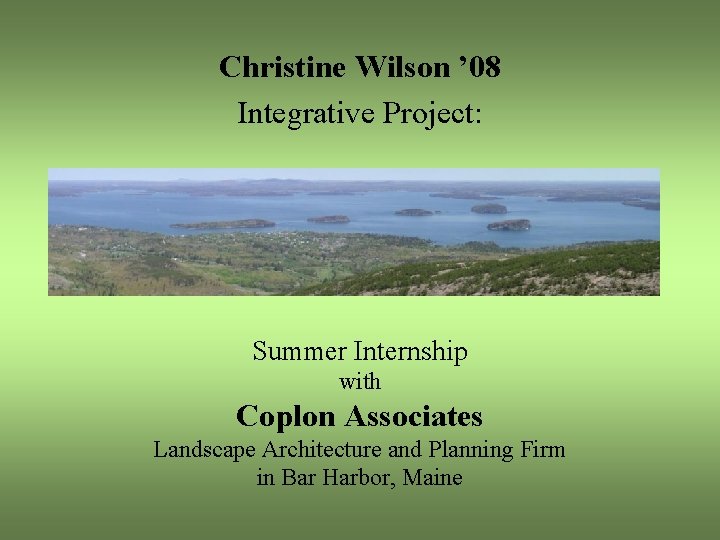 Christine Wilson 08 Integrative Project Summer Internship with