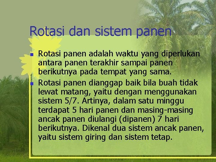 Budidaya KELAPA SAWIT CUCU SUHERMAN JURUSAN BUDIDAYA FAKULTAS