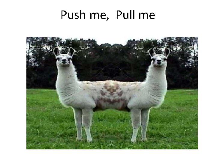 Welcome To Being Enterprising Jane Shaw Enterprising You