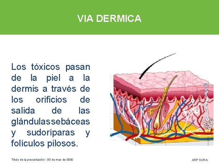 CLASIFICACION DE LOS QUIMICOS Y MEDIDAS DE PREVENCION