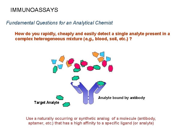 IMMUNOASSAYS Fundamental Questions for an Analytical Chemist How